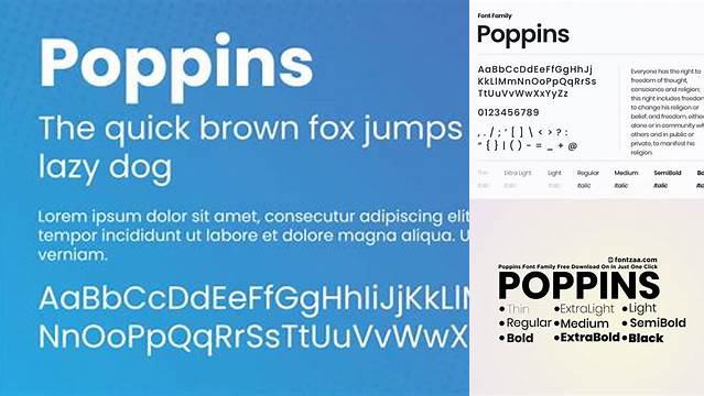 Poppins Google Font: CSS Guide & Usage