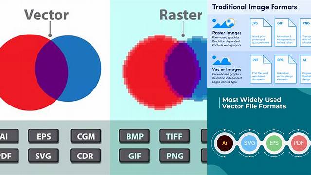 SVG: Scalable Vector Graphics Explained