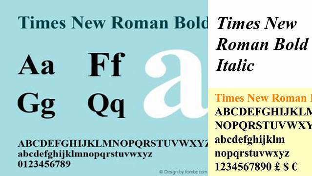 Download Times New Roman Extra Bold Italic Font Free