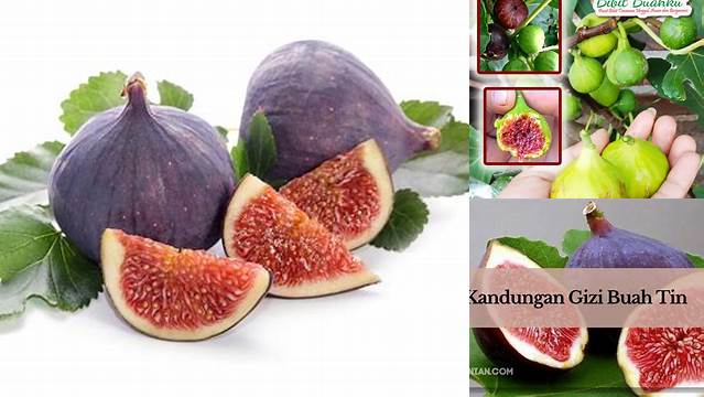 8 Manfaat manfaat buah tin hijau Terungkap untuk Kesehatan